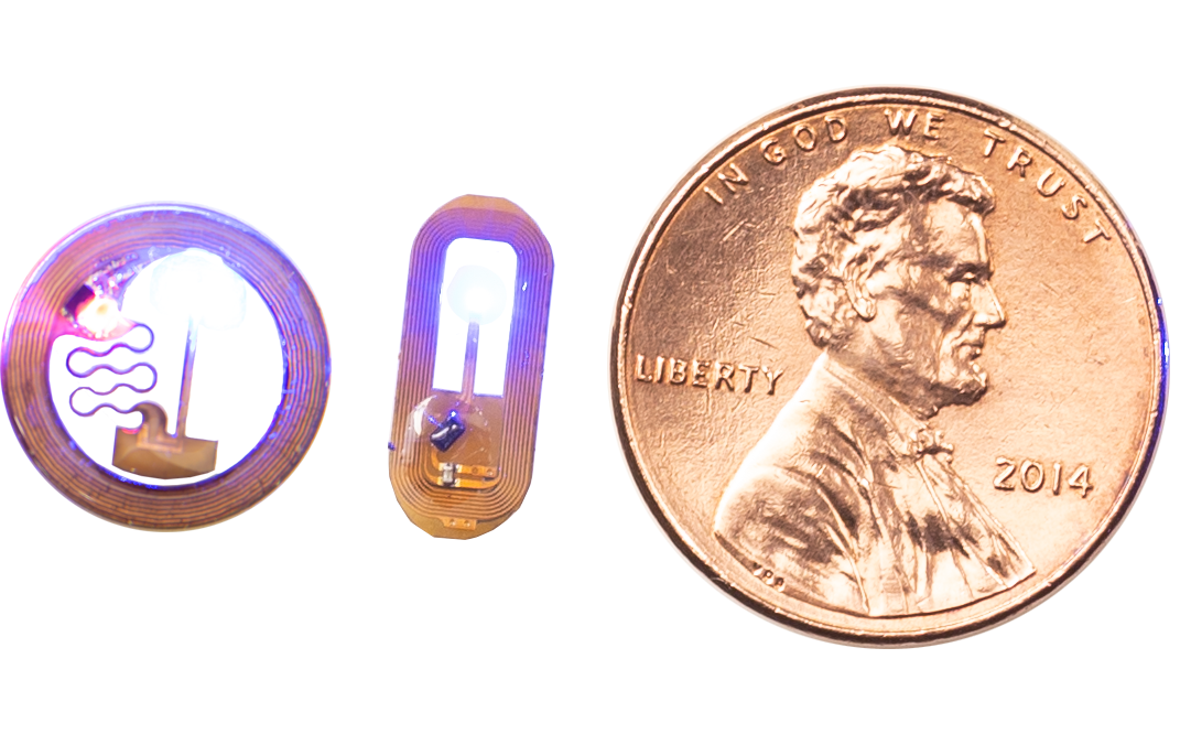 Product Information - Neurolux