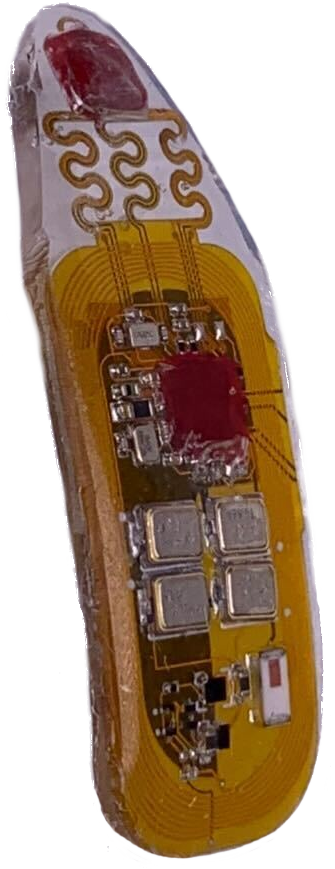 Product Information – NeuroLux